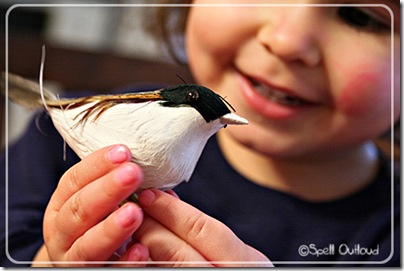 Totally Tots: Now I Know My ABCs ~ Ff is for Feathers